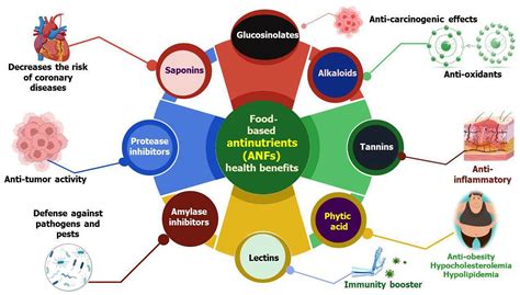 Frontiers A Review On Anti Nutritional Factors Unraveling The