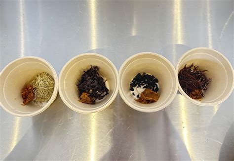 おにぎりhanasakihakodate いつもありがとうございます♪ お味噌汁に朗報です！ 味噌玉お味噌汁販売しています このまま蓋をし