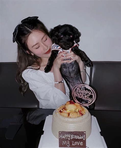 日韩网红复古丝绒酒红蝴蝶结发夹边夹可爱公主头发饰头顶两侧对夹虎窝淘