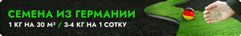 Газонная трава: купить семена газонных трав в Украине, цена | Green Home