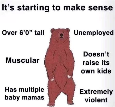 The Bear Misc Blind