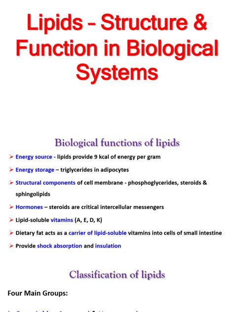 6 Lipids Structure Function 2 Pdf Fatty Acid Lipoprotein