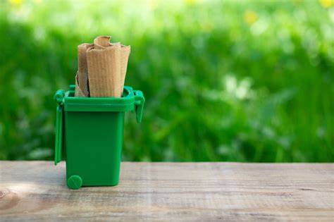 Separating Paper In Green Container To Save Natural Resources Stock