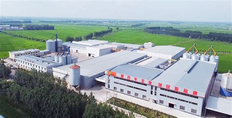 绥化市嘉禾农业集团有限公司 黑土嘉禾天之稼鑫福麟