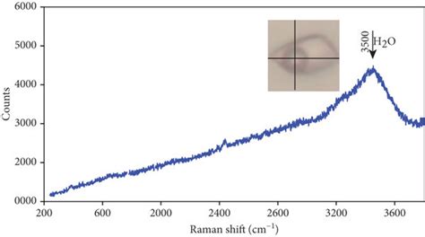 Representative Laser Raman Spectra Of Different Types Of Fluid