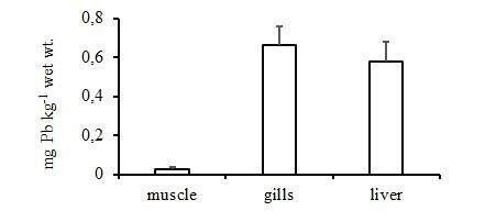 Mean Concentration And Standard Deviation Of Pb Mg Kg 1 Wet Wt In