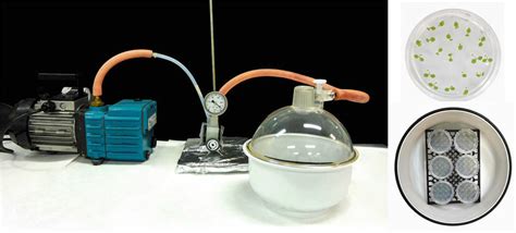 Equipment Used In The Agrobacterium Mediated Transformation Of Download Scientific Diagram