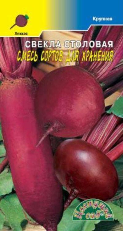 Золотая сотка алтая