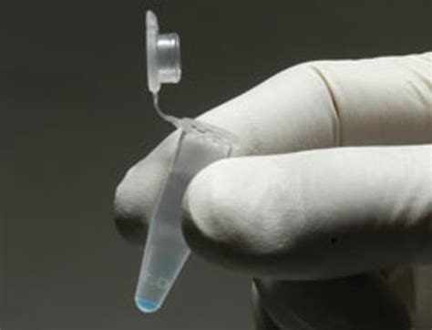 Rac1 Pull Down Activation Assay Biochem Kit Bead Pull Down Format Bk035