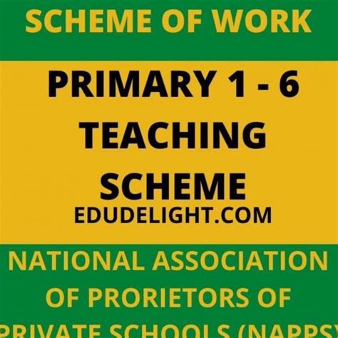 Napps Curriculum Edudelight Store