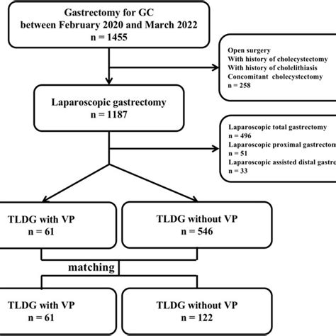 The Mean Number Of Examined Lymph Nodes In Each Lymph Node Station