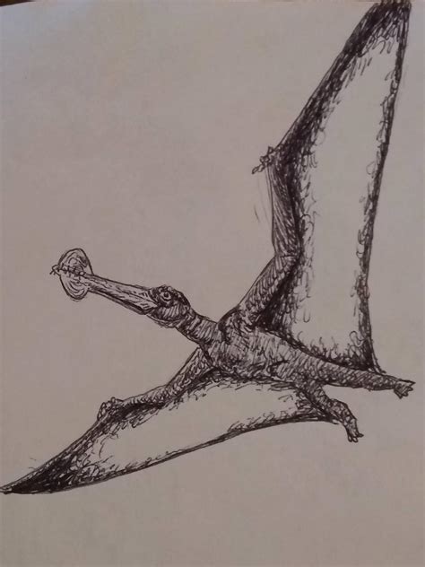 Ornithocheirus 2 By Alldoo On Deviantart