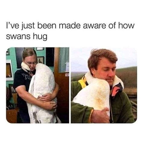 That Hug Makes Me Feel Safe R Wholesomememes Wholesome Memes