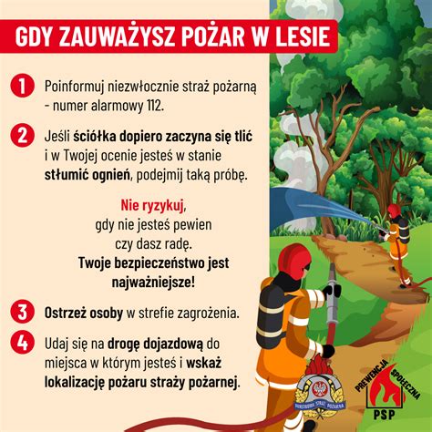 Zagrożenie pożarowe w lasach Komenda Główna Państwowej Straży