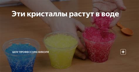 Эти кристаллы растут в воде Шоу профессора Николя Дзен