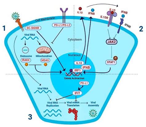 The Selected Snps From The Proposed Genome Polymorphismsmachine Severe Download Scientific