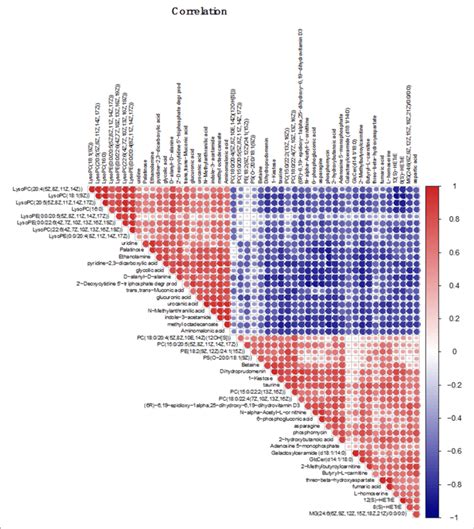 correlation analysis chart of the top 50 different metabolites the