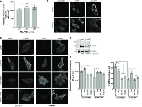 Figure S2 Data Related To Main Figure 2 Download Scientific Diagram