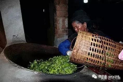 普洱茶六大古茶山之易武古茶山 每日頭條