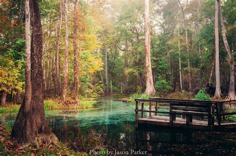 Naked Spring In Autumn It Wouldn T Be My Photostream Witho Flickr