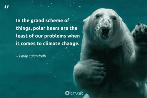 22 Polar Bear Quotes About The King Of The Arctics