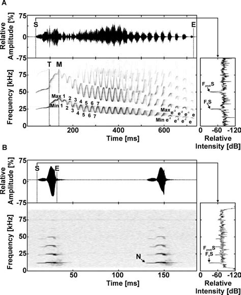 Oscillogram Spectrogram And Power Spectrum Showing The Highly Download Scientific Diagram