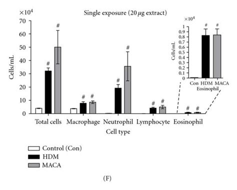Total Cell Counts A And Differential Cell Counts Macrophage B