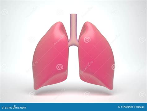 Pink Lungs Anatomy Colorful Stock Illustration Illustration Of