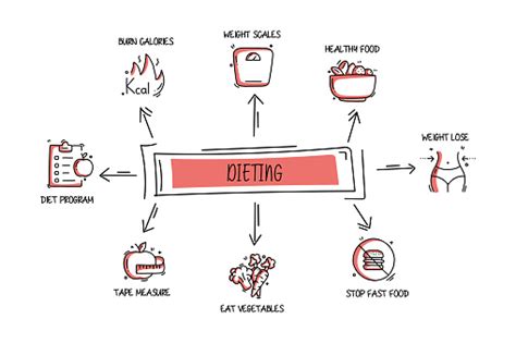 다이어트와 건강한 라이프 스타일 관련 개체 및 요소 손으로 그린 벡터 낙서 일러스트 레이션 컬렉션 손으로 그린 아이콘 세트입니다 무설탕에 대한 스톡 벡터 아트 및 기타