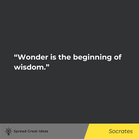 Quotes About Knowledge And Wisdom