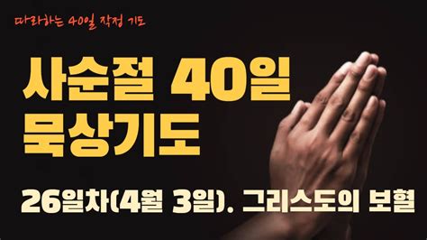 사순절 기도문 사순절 40일 따라하는 기도 낭독 작정기도 묵상기도 참회기도 하루 마무리 기도 자기전 기도 아침 시작기도 기도문 복사