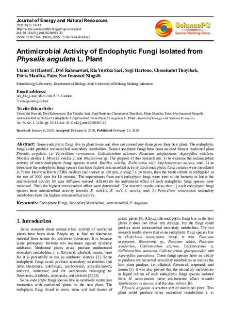 Antimicrobial Activity Of Endophytic Fungi Isolated From Hysalis