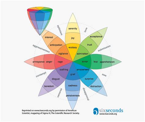Plutchiks Wheel Of Emotions Plutchik Emotions Hd Png Download Kindpng