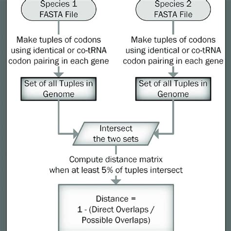 Process To Calculate The Distance Matrix Starting With The Coding Download Scientific Diagram