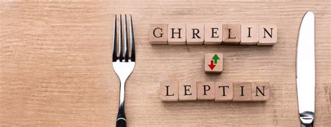 Impact Of Gastric Sleeve Surgery On Hunger Hormone Ghrelin