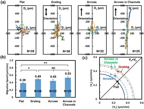 A Trajectory B Migration Speed And C Directionality Analysis Of Download Scientific