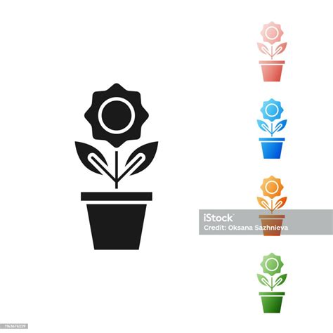 흰색 배경에 고립 냄비 아이콘에 검은 꽃입니다 냄비에 자라는 식물 화분에 심은 식물 표지판 다채로운 아이콘을 설정합니다 벡터 일러스트레이션 0명에 대한 스톡 벡터 아트 및