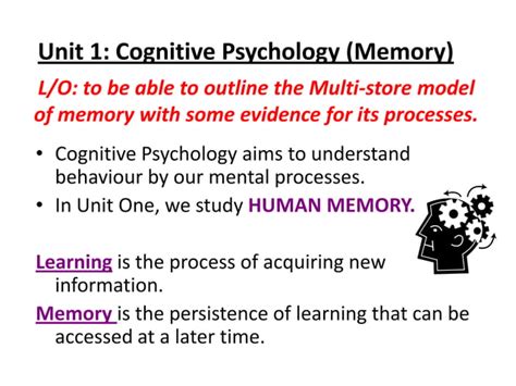 Multi Store Model Of Memory PPTX