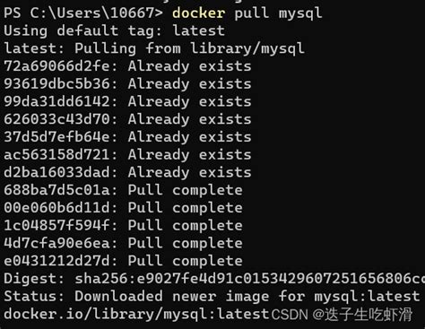 Docker基础知识和常用命令dockers 启动 Csdn博客