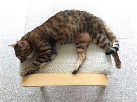 こんな日々
