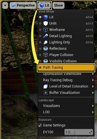 Unreal Engine 5 Path Tracing Not Showing