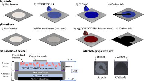 Fabrication Steps Of A The Anode Layer And B The Cathode Layer Of Download Scientific