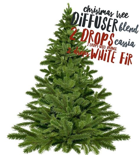 Pin On Pure Essentials Diffuser Blends Wild Orange Christmas Tree Diffuser Blends