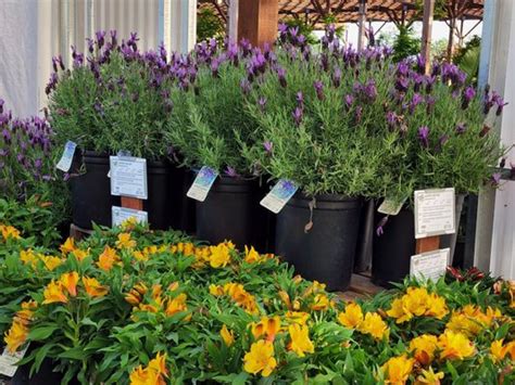 Green Acres Nursery And Supply Updated November 2024 414 Photos And 170