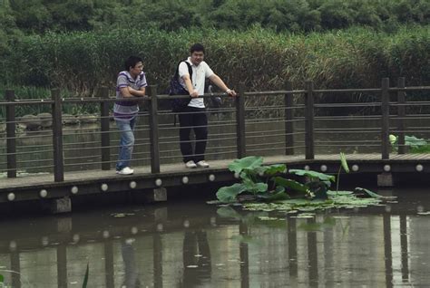 【上海梦清园摄影图片】上海宜昌路生态摄影太平洋电脑网摄影部落