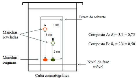 Rf Chromatography Formula At Hamish Mitford Blog