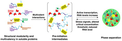 相分离相关综述（5） 知乎