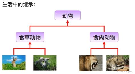 java面向对象 java炒饭 csdn博客