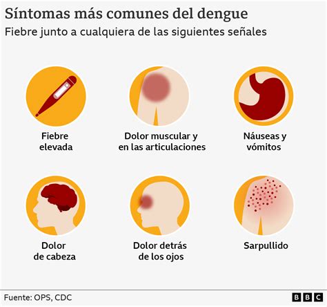 Qué Es El Dengue Cómo Se Transmite Y Cuáles Son Sus Síntomas
