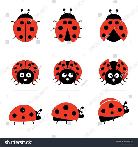 무당벌레 97636개가 넘는 로열티 프리 라이선스 대상 스톡 일러스트 및 그림 Shutterstock
